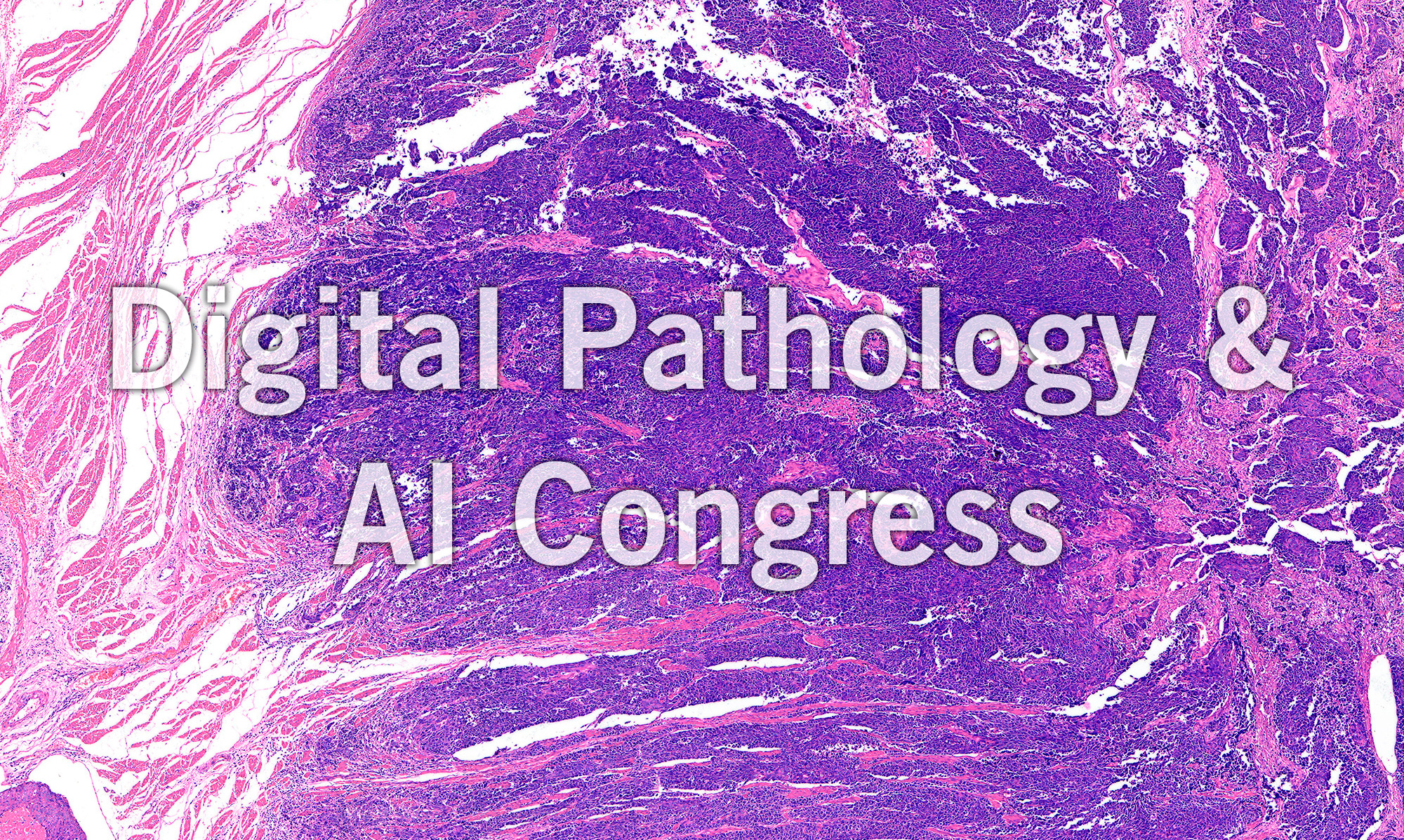 microscopy Archives - Motic Digital Pathology