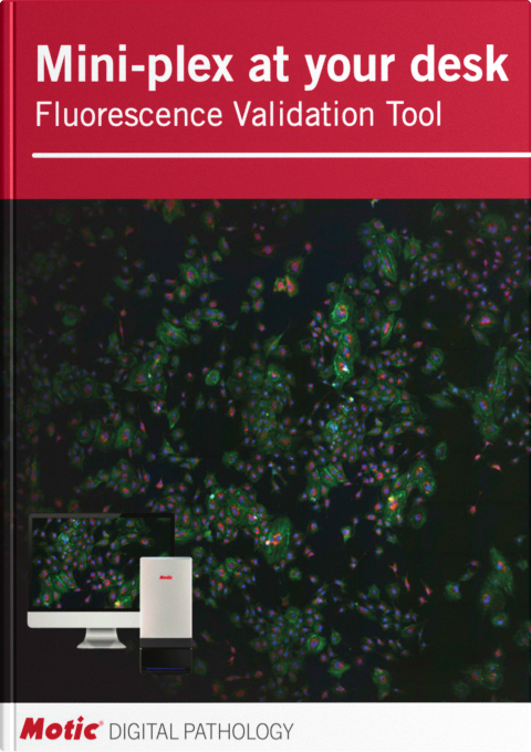 Fluorescence Whole Slide Imaging Scanner - Motic Digital Pathology