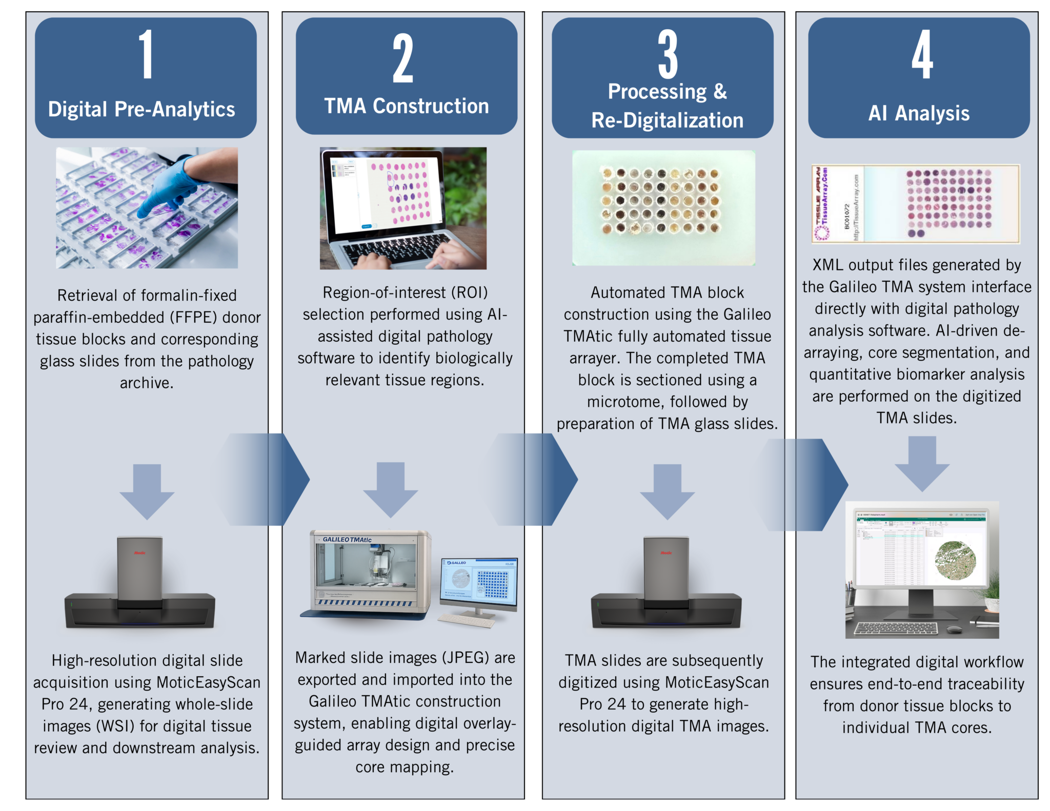High-Throughput Tissue Microarrays in the Era of AI and Spatial Biology ...